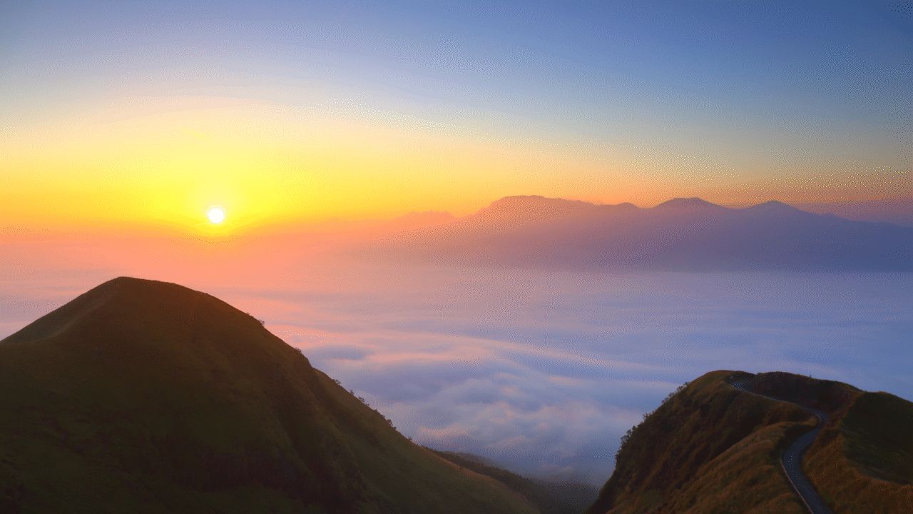 June Bloom | Jane Sibbett