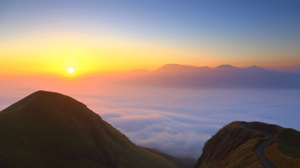 June Bloom | Jane Sibbett